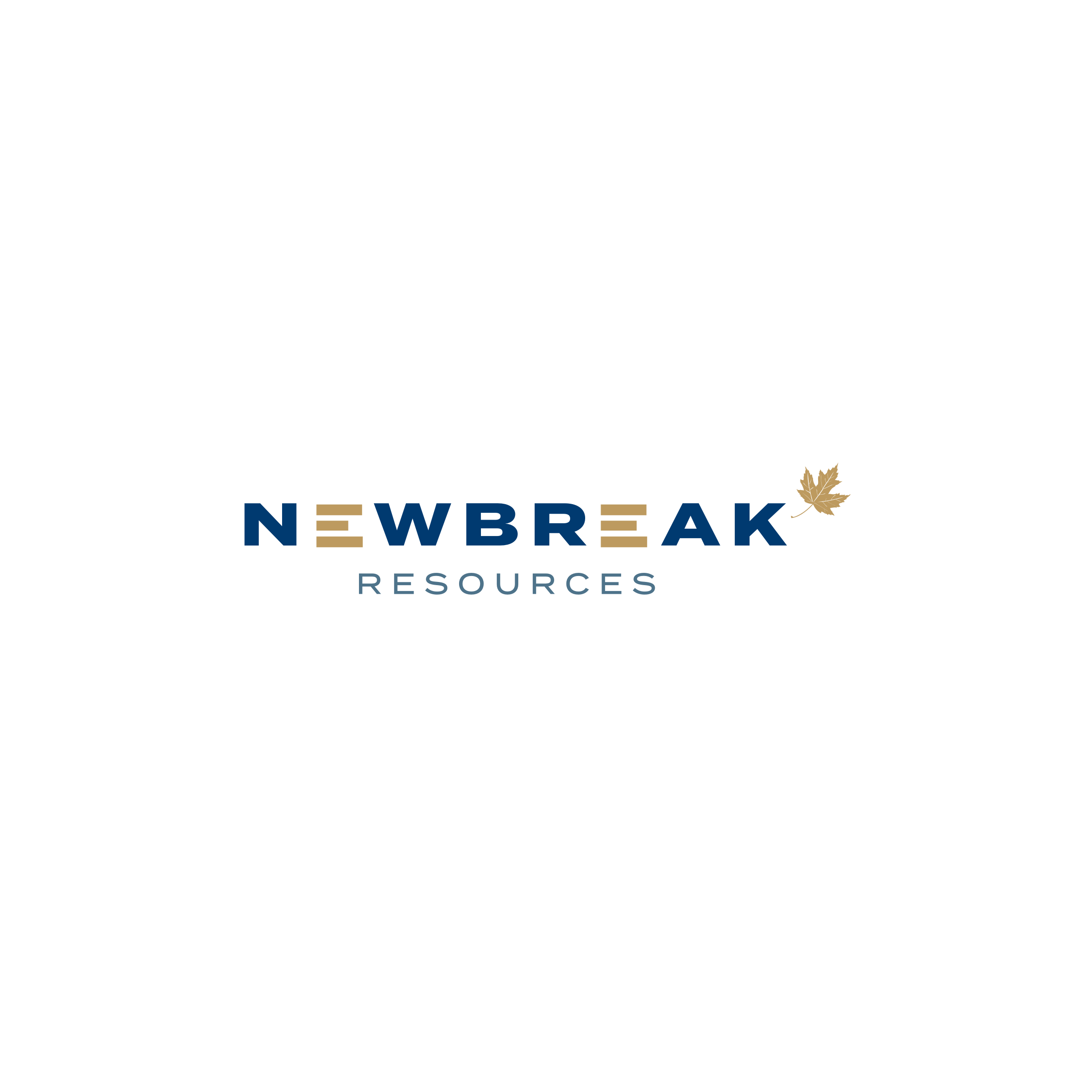Break Logo
